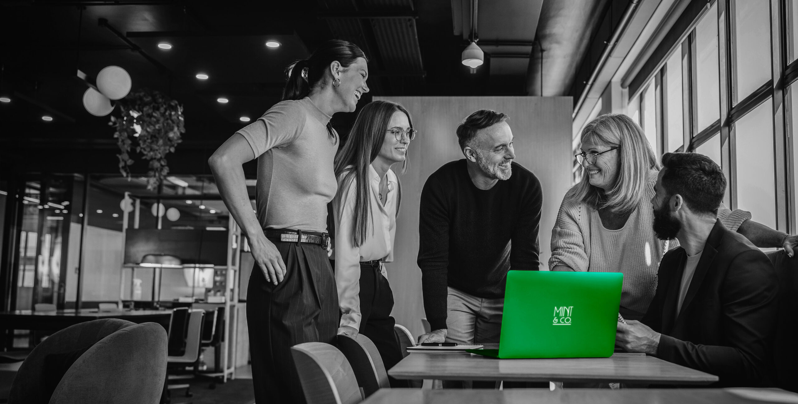 Real Estate Digital Marketing Agency in Dubai | Mint & Co